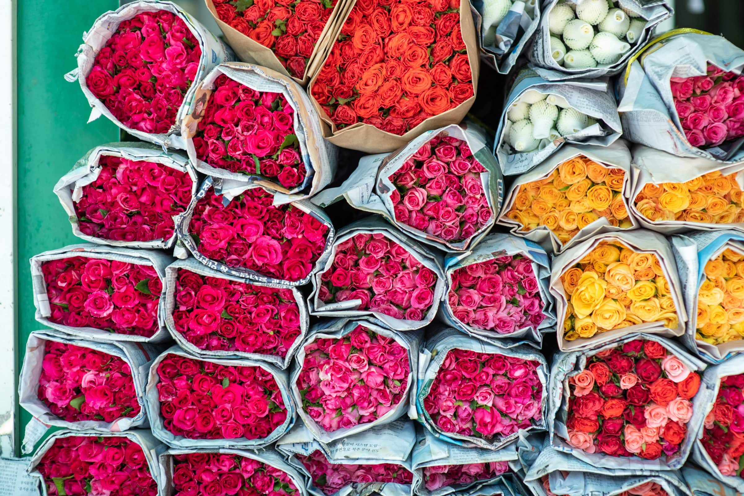 Shanghai Flower Market Pudong | Best Flower Site